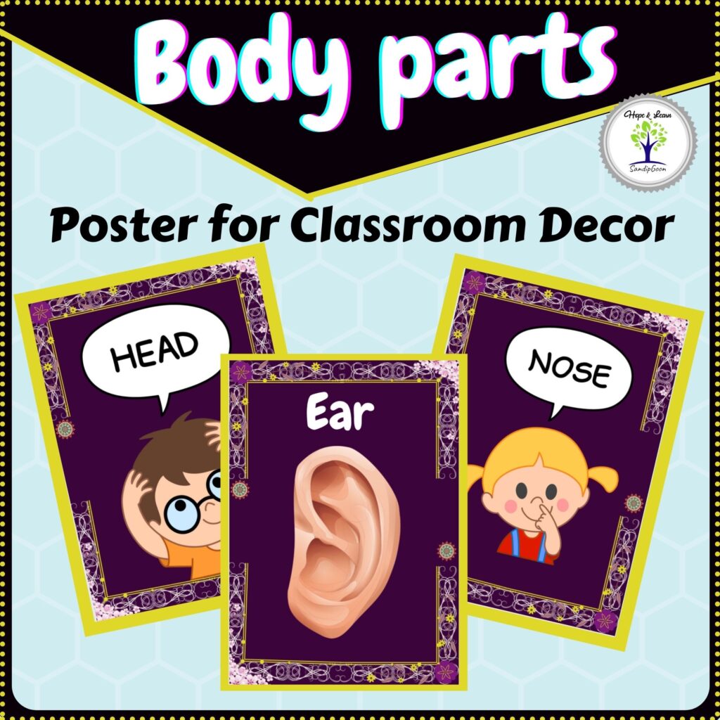 Body Parts Poster For Classroom Decor and Special Education - DISHA